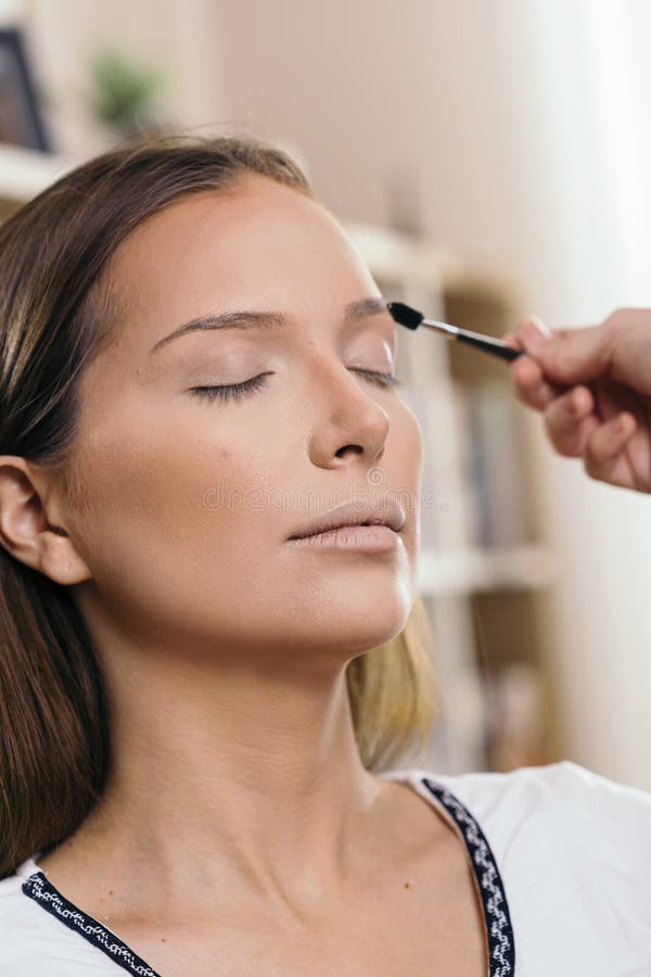 Make Up Artist Doing Client`s Eyebrows Stock Image - Image of person ...