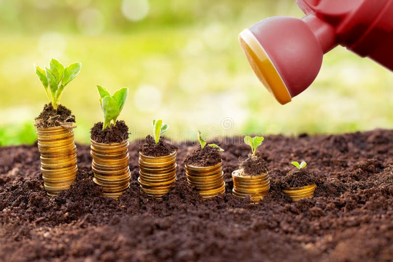 Make your money grow stock photo. Image of graph, investment - 80188394