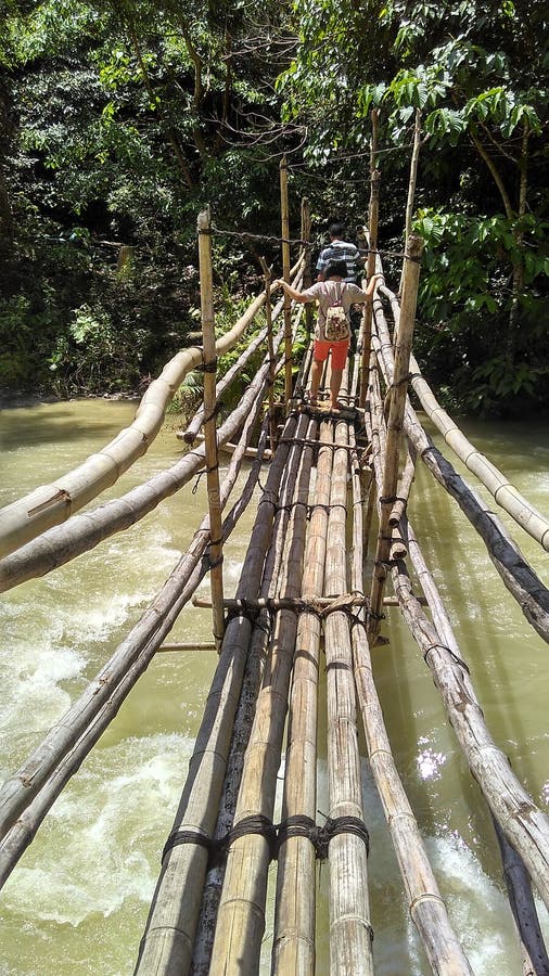 A Makeshift Bamboo Bridge Over a Flowing River Stock Image - Image of ...