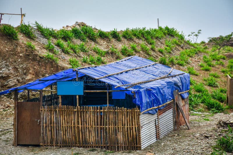 Makeshift Bamboo House , Blue Plastic Roof, Green Slope Stock Photo ...