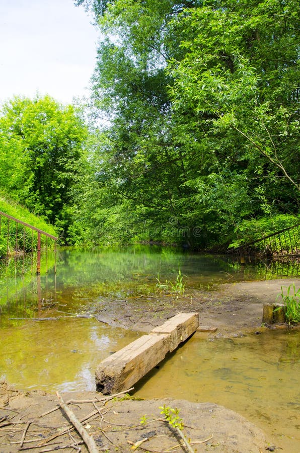 Makeshift Bridge Over the Wooden Bar Stock Photo - Image of forest ...