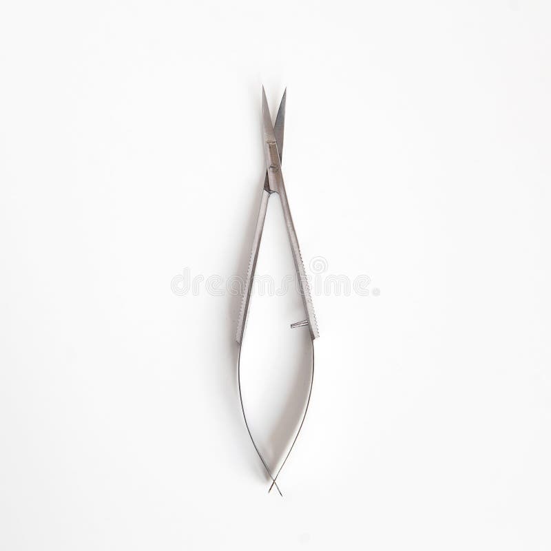 Makeup Artist and Eyebrow Tools. Stock Image - Image of hair, metallic ...