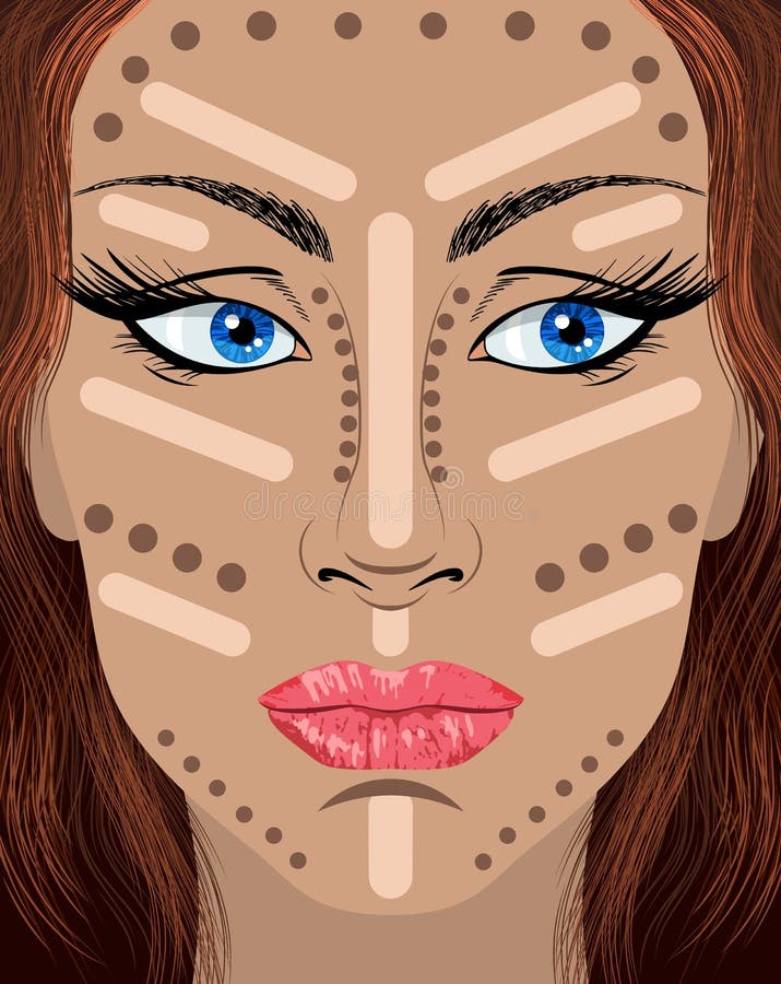 Makeup scheme to slim face stock vector. Illustration of europe - 66723484