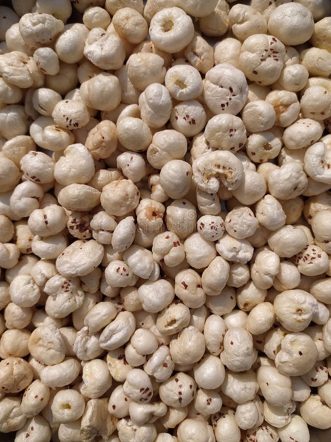 Chinese fox nut stock photo. Image of qian, food, traditional - 35099786