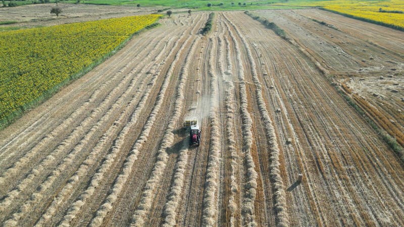 Making Bales of Hay in the Field - Wheat Straw - 4K 60Fps by Drone ...