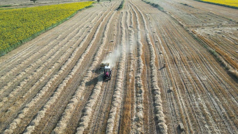 Making Bales of Hay in the Field - Wheat Straw - 4K 60Fps by Drone ...