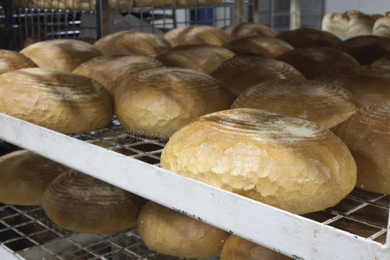 Fresh Baked Bread on Rack stock image. Image of bakery - 3346465
