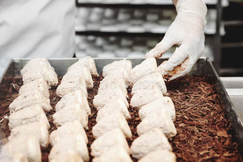 Making cakes stock photo. Image of fresh, holding, flour - 101892846