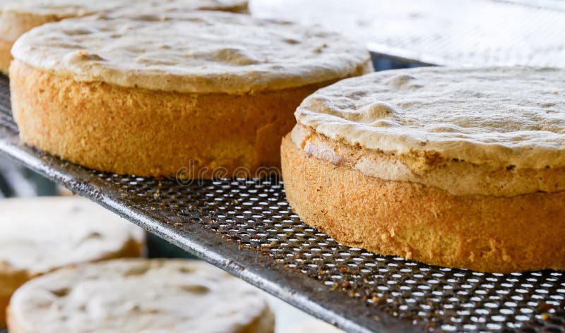Making cakes and pastries stock photo. Image of manufacturing - 162186726