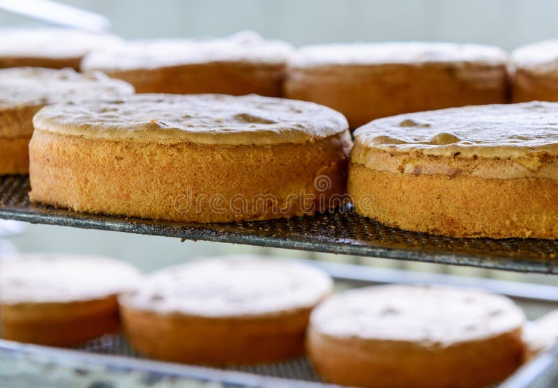 Making cakes and pastries stock image. Image of food - 162186747