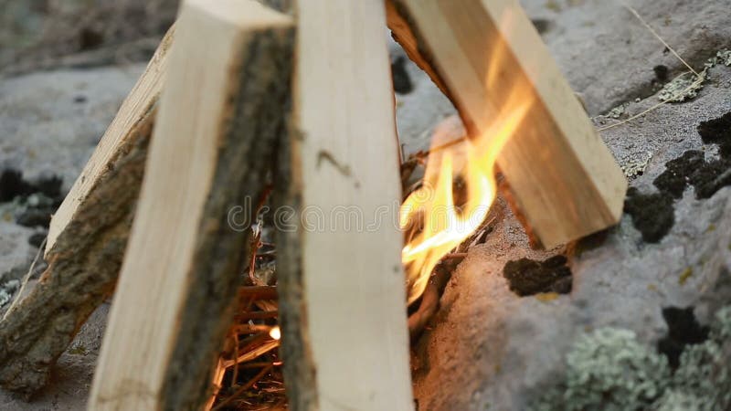 Making Camp Fire in Nature stock video. Video of hand - 314575549