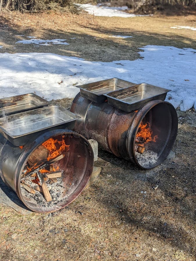Making of a Canadian Maple Syrup, Tapping Trees. Stock Photo - Image of ...