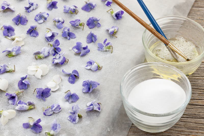 Crystallized violets stock image. Image of color, flower - 23703923