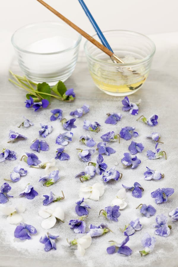 Crystallized violets stock image. Image of color, flower - 23703923