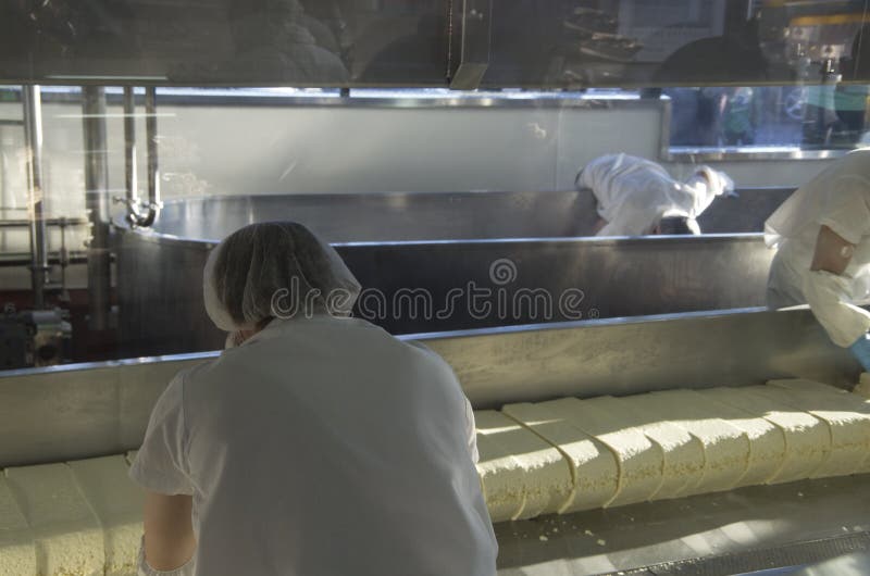 Making of cheese editorial photo. Image of local, working - 37042631