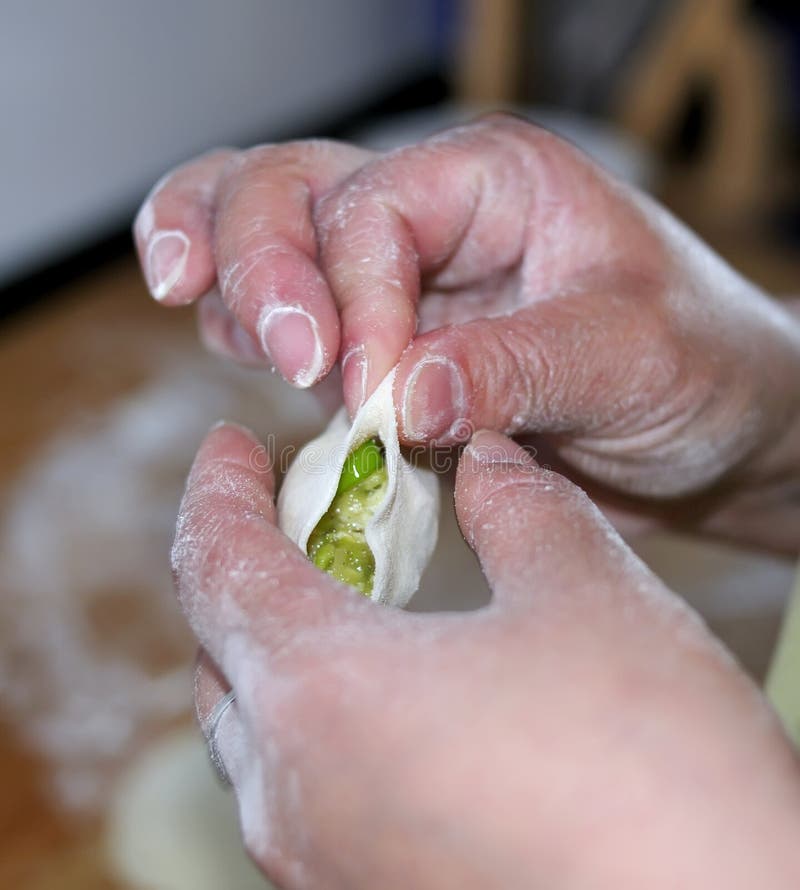 Making Chinese dumplings stock image. Image of culture - 19664769