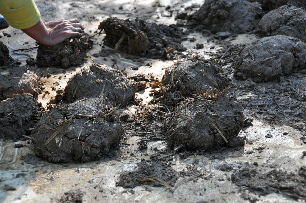 Making cob stock image. Image of green, building, explore - 44857303