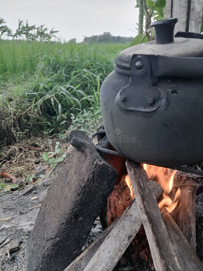 Making a Cup of Coffee in the Beautiful Rice Fields in the Afternoon on ...