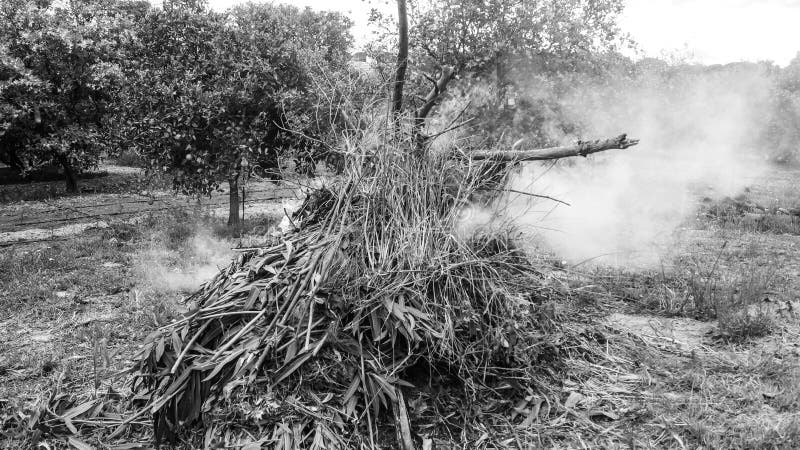Making fire stock image. Image of autumn, picnic, blackandwhite - 204470009