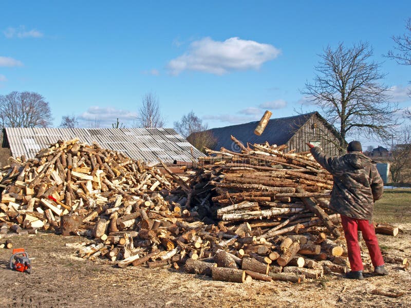 Making firewood stock photo. Image of sunny, pile, firewood - 23730386