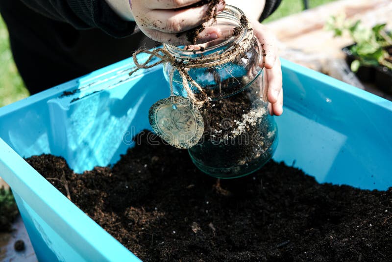 Making a forest in a jar stock photo. Image of animal - 291742050