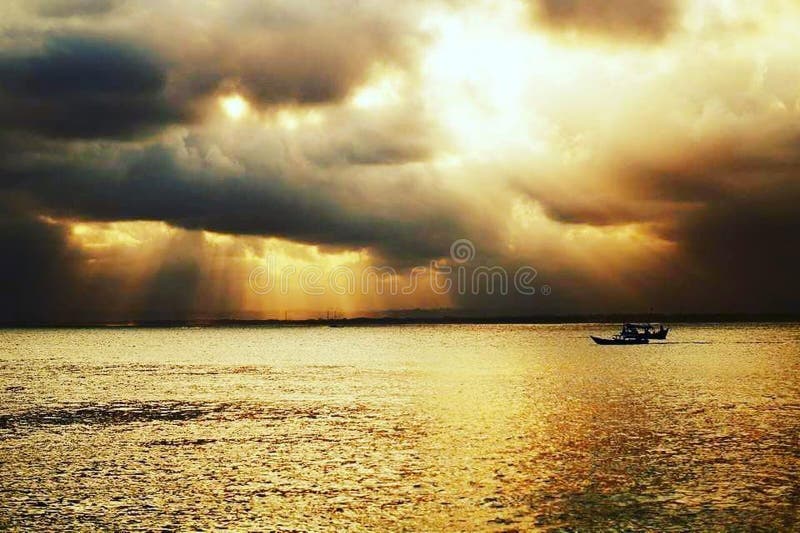 After Dark Comes Light Nature Will Determine Its Own Path Stock Photo ...