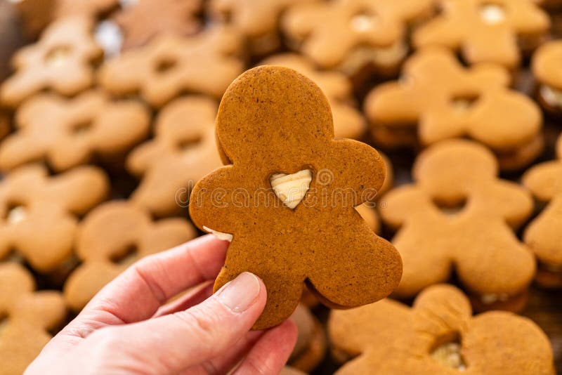 Making Festive Gingerbread Sandwiches on Rustic Wooden Table Stock ...