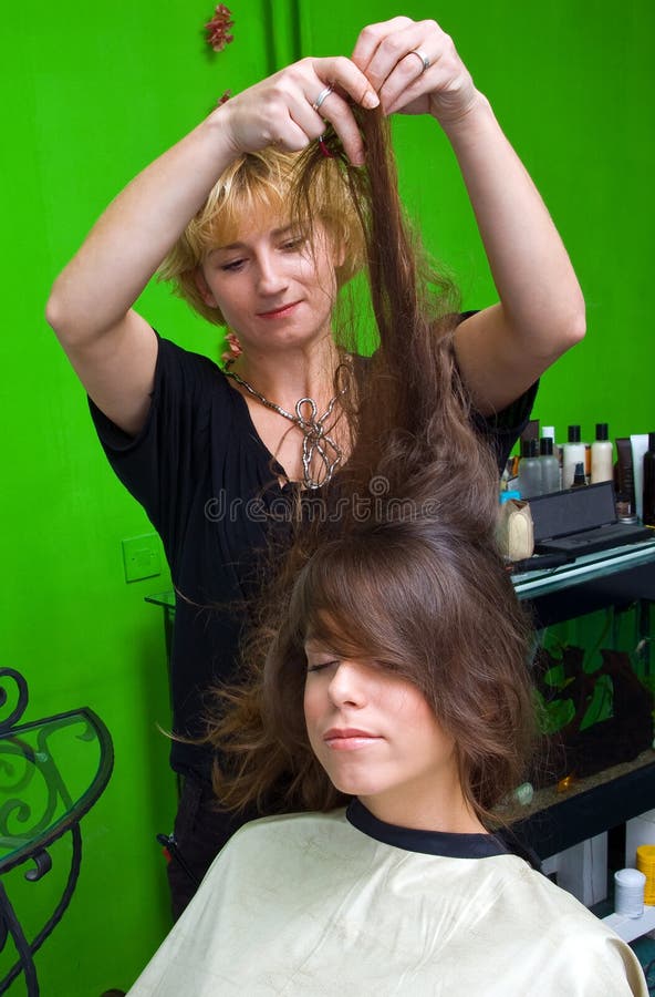 Making haircut stock photo. Image of stylist, professional - 19263028