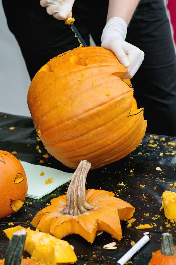 Making Halloween pumpkins stock photo. Image of fall - 77044736