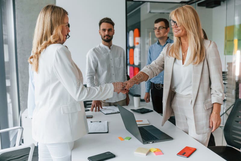 Making Handshake. Group of Professional Business People is in the ...