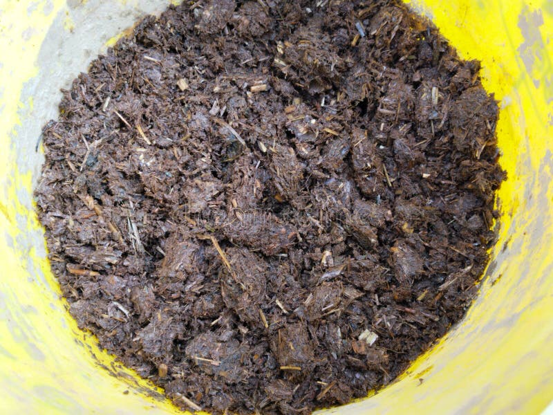 Making Home Made Compost Using Cow Dung in Plastic Container. Home Made ...