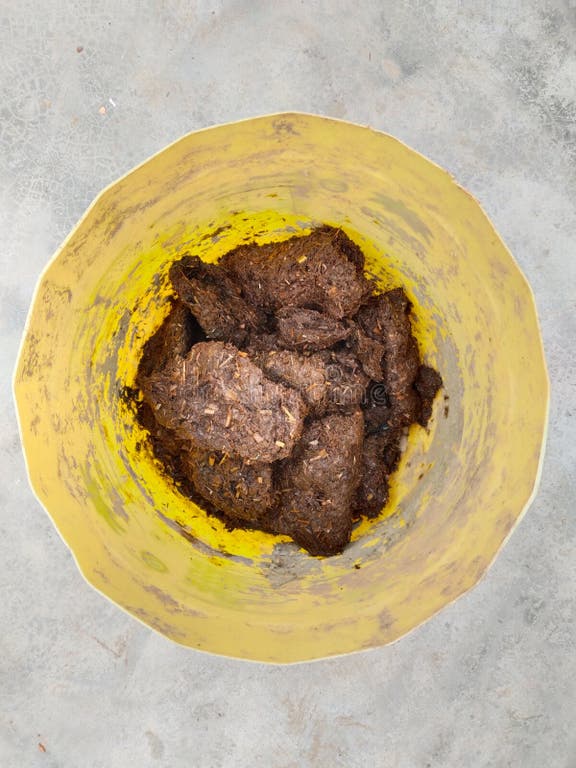 Making Home Made Compost Using Cow Dung in Plastic Container. Home Made ...