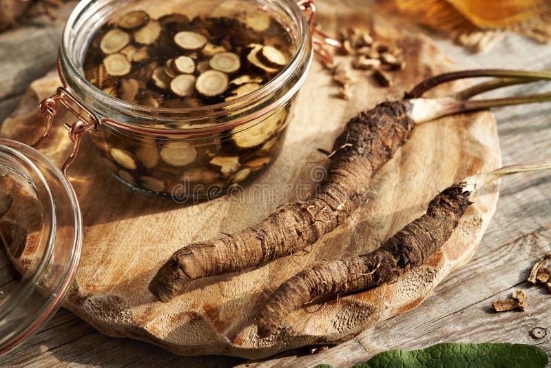 Making Homemade Herbal Tincture from Fresh Burdock Root Stock ...