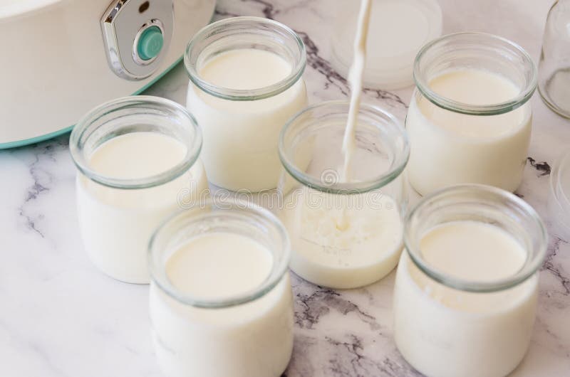 Making Homemade Plain Yogurt. Stock Image - Image of calcium, closeup ...