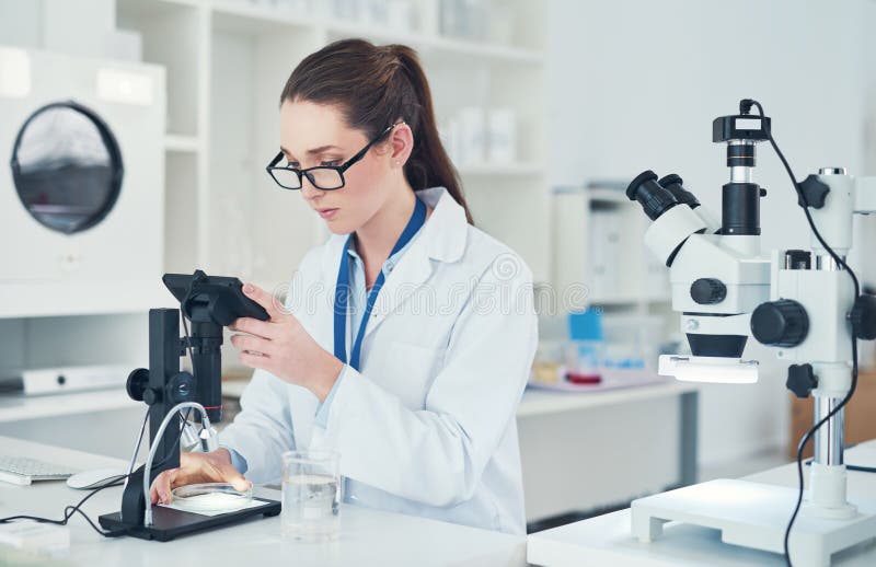 Making Incredible Findings. a Focused Young Female Scientist Looking ...