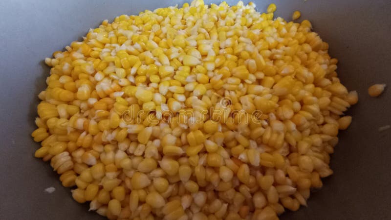 The making of Jasuke stock image. Image of making, sweet - 222998957