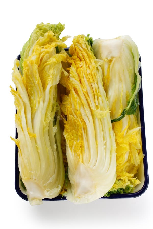 Making kimchi process stock image. Image of traditional - 23529665