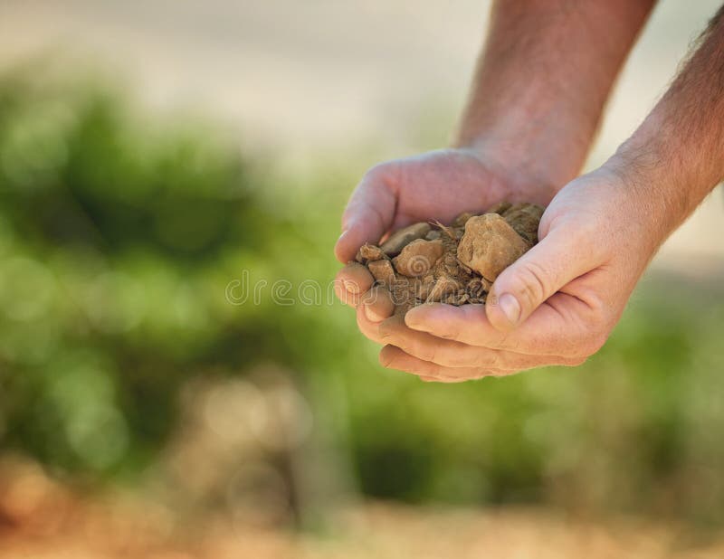 Making a Living from the Earth. a Farmer Holding Soil. Stock Image ...
