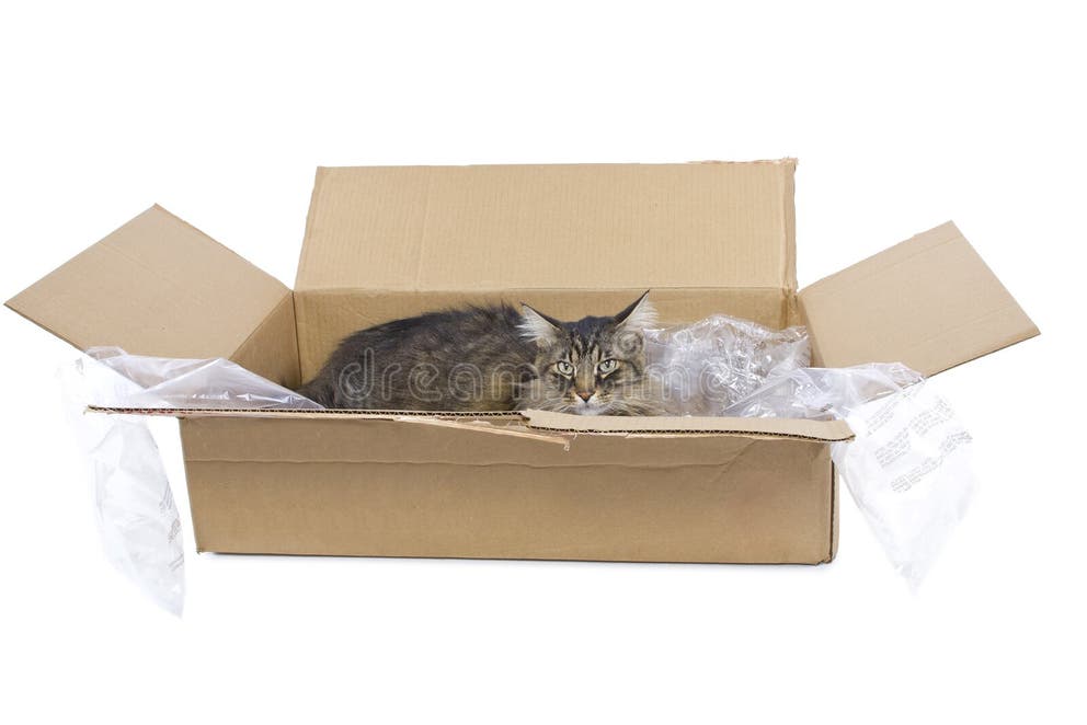 Making a Mess stock photo. Image of isolated, curiosity - 38779738