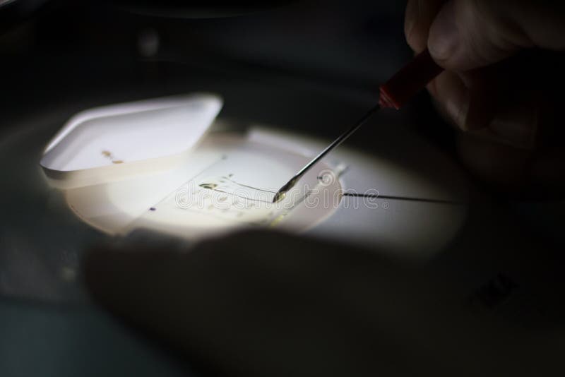 Making Microscope Sample. Close-up View . Real Life Workflow Stock ...