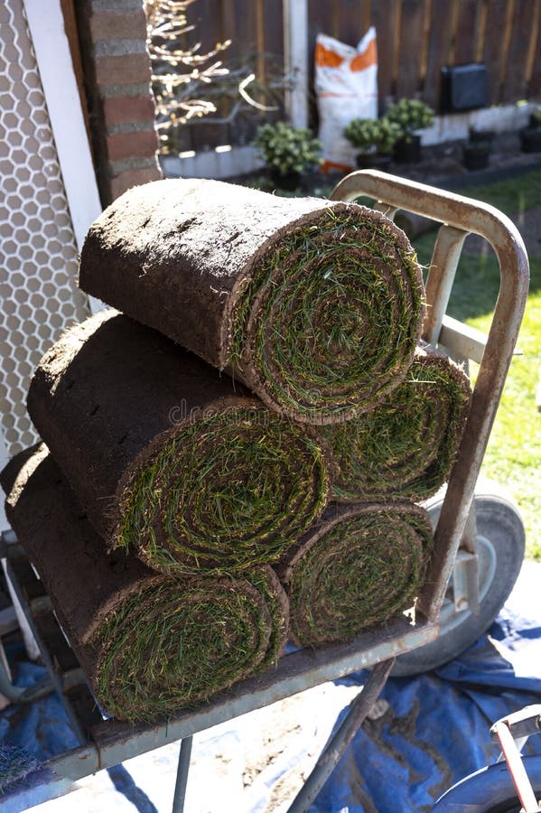 Making of Natural Green Lawn in Garden with Rolls of Green Grass ...