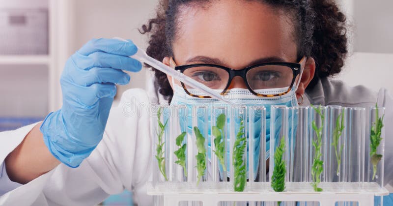 Making New Discoveries in the World of Botany. a Young Scientist ...