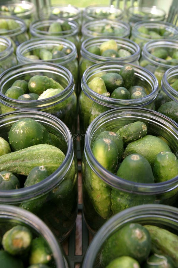 Making pickles stock image. Image of organic, objects - 15148139