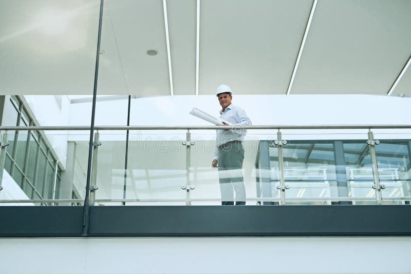 Making Plans for Development. Portrait of a Focused Professional Male ...