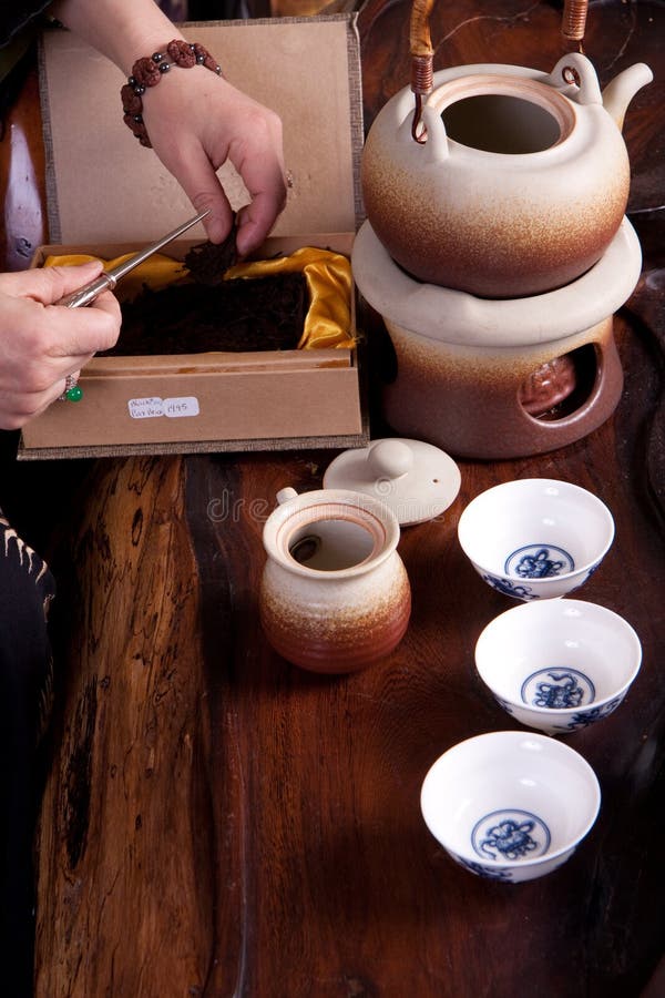 Making a pot of tea stock photo. Image of puer, china - 12809758