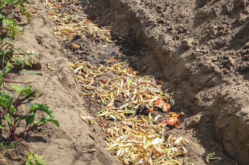 A Compost Pit or Trench is Dug in the Garden. There are Many Different ...