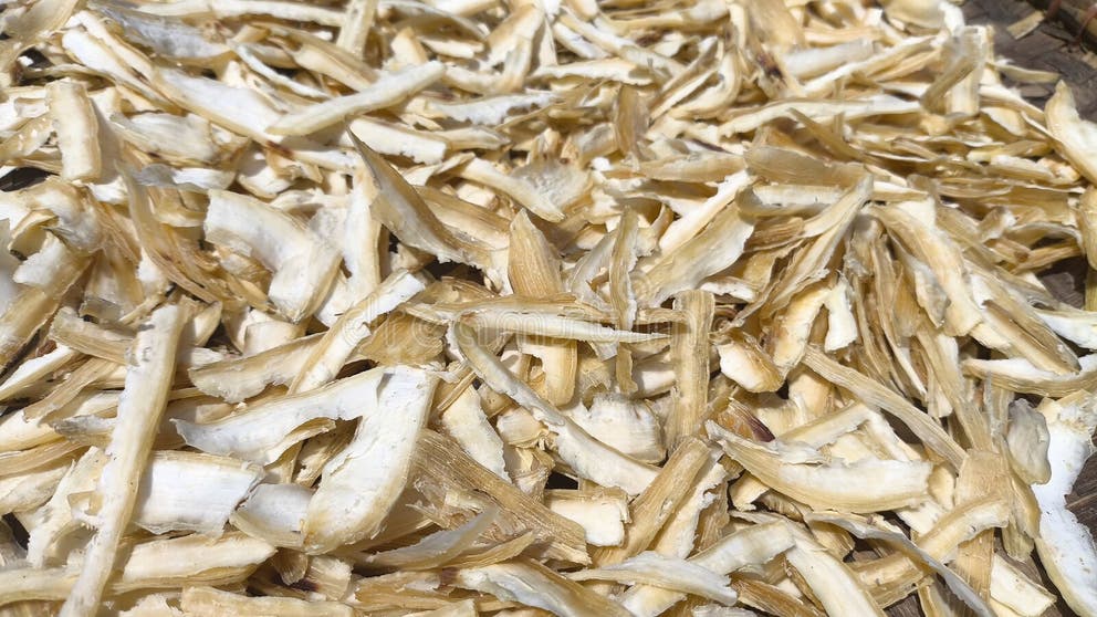 Making Processed Chips from Dried Cassava Stock Photo - Image of making ...