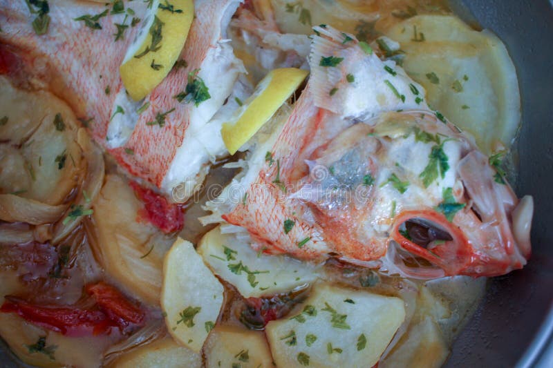 Making red bream at home stock photo. Image of marine - 362032902