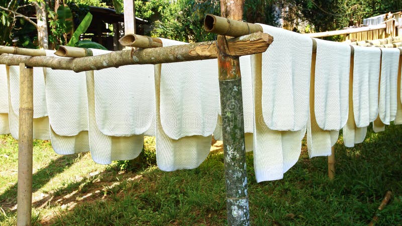 Making Rubber Sheets Process. Stock Photo - Image of background, latex ...