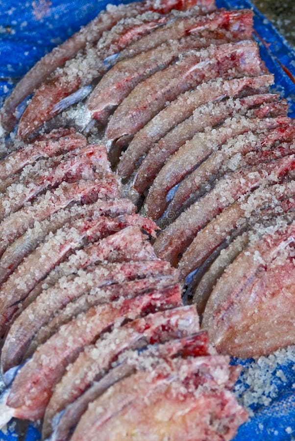 Making of Salt Fish stock image. Image of asia, making - 9589277